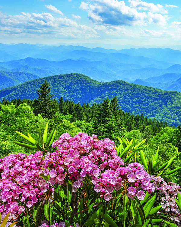 North Carolina Symphony - Appalachian Spring